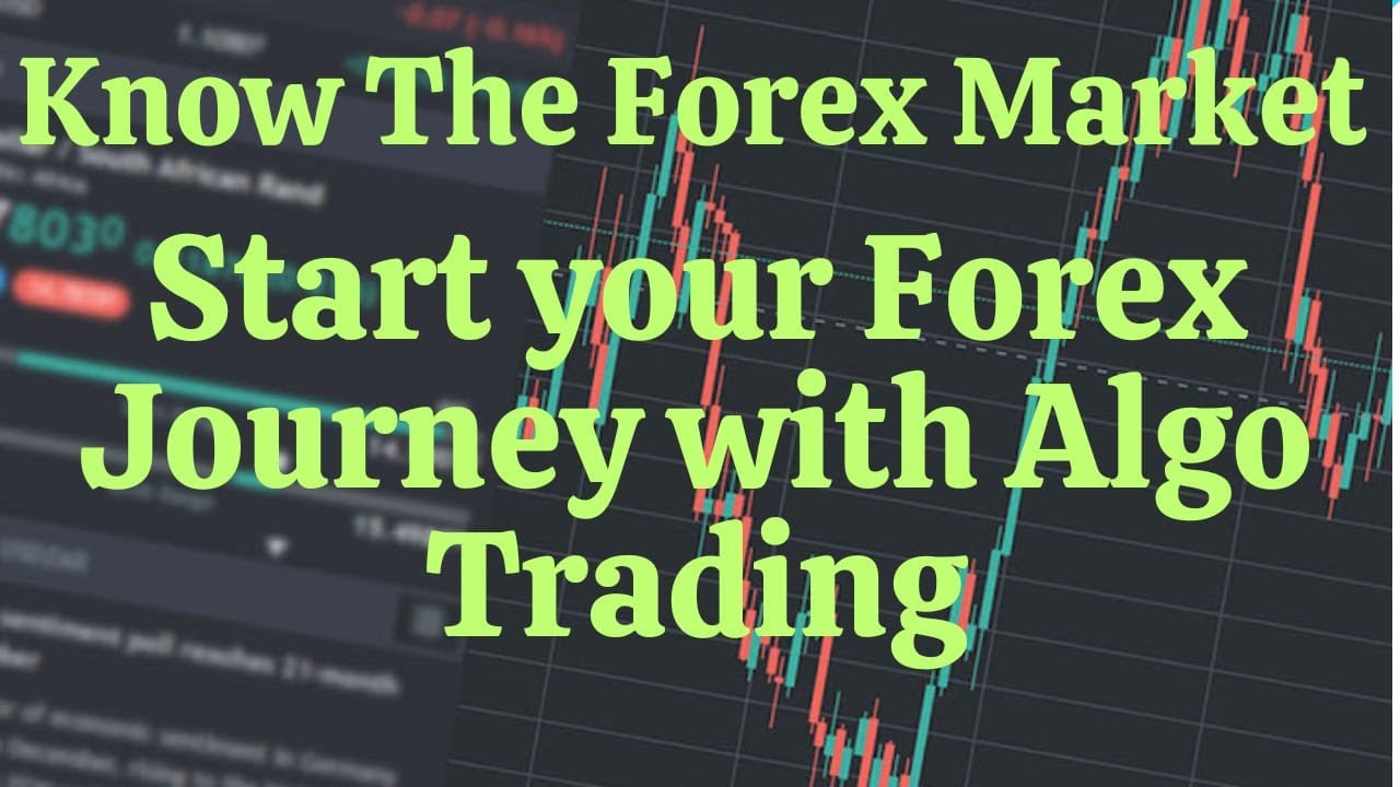 Start Your Forex Journey with Algo Trading - YouTube