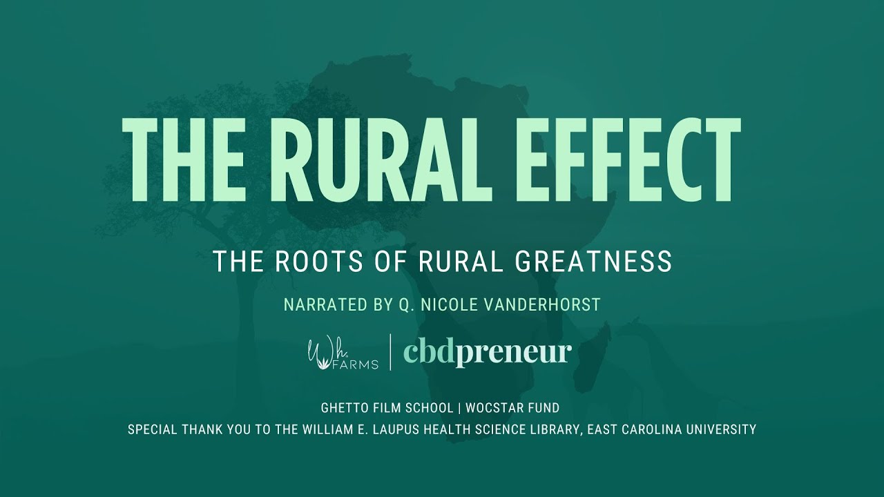 Grit & Faith: Our Founder's Story and How Her Health Journey Inspired ...