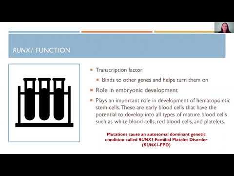 RUNX1 Gene Function and Risks Clip - YouTube