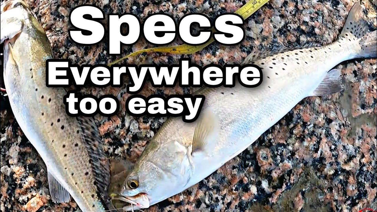 Loaded with Fish | Fishing Galveston Beachfront Deleted Scenes - YouTube