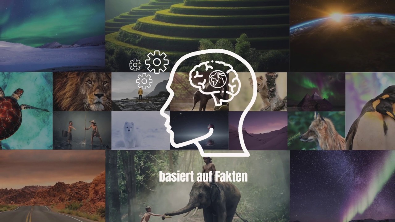 basiert auf Fakten - Intro - YouTube