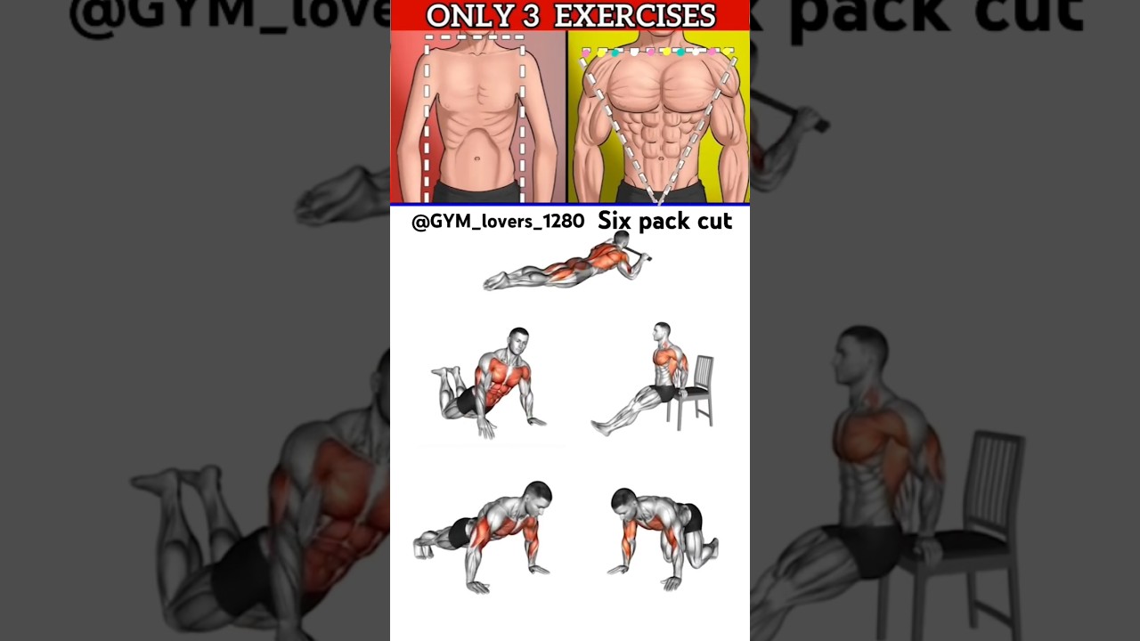 GYM WORKOUT SIX PACK CUT AND BODY TYPES 💪🏻 🏋🏻‍♀️ one by # ...