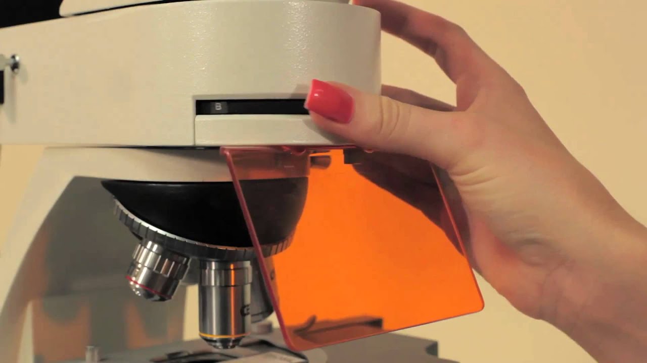 Ceti Microscopes Magnum with LED Fluorescene B - YouTube