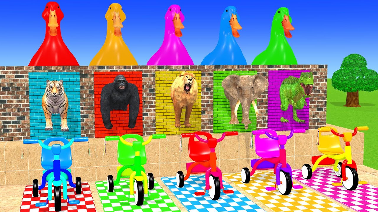 Long Slide Game With Elephant Gorilla Warthog Lion Tiger - 3d Animal ...