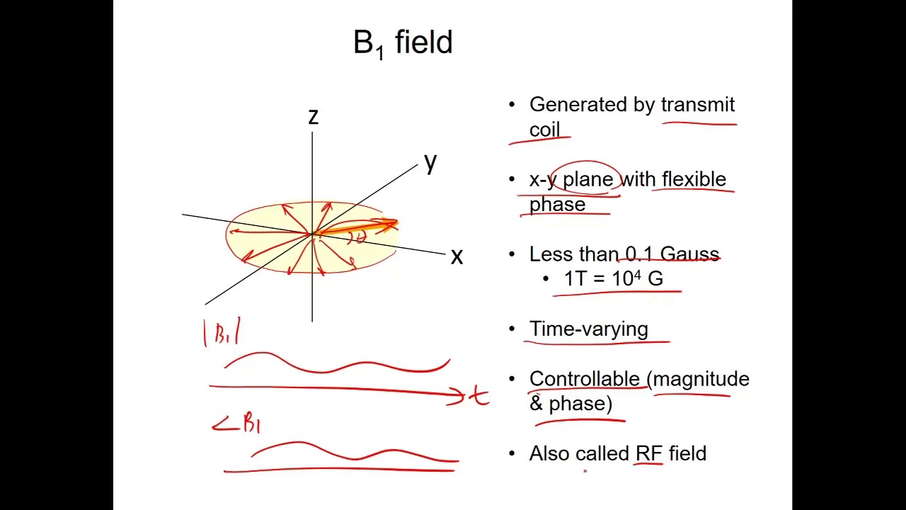 자기공명영상 (MRI) Lecture 03: MR physics part1 - YouTube