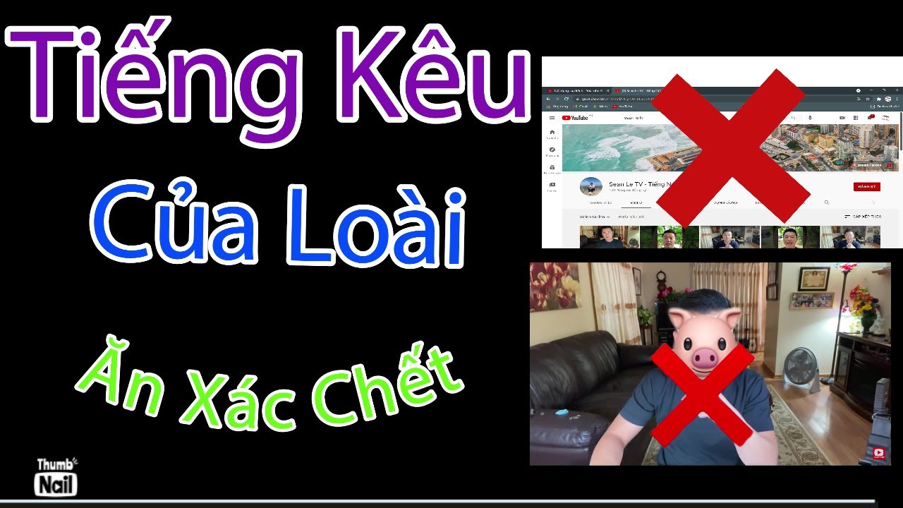 Sean Le TV , những tiếng nói không phải của con người | Mắt Bão ...