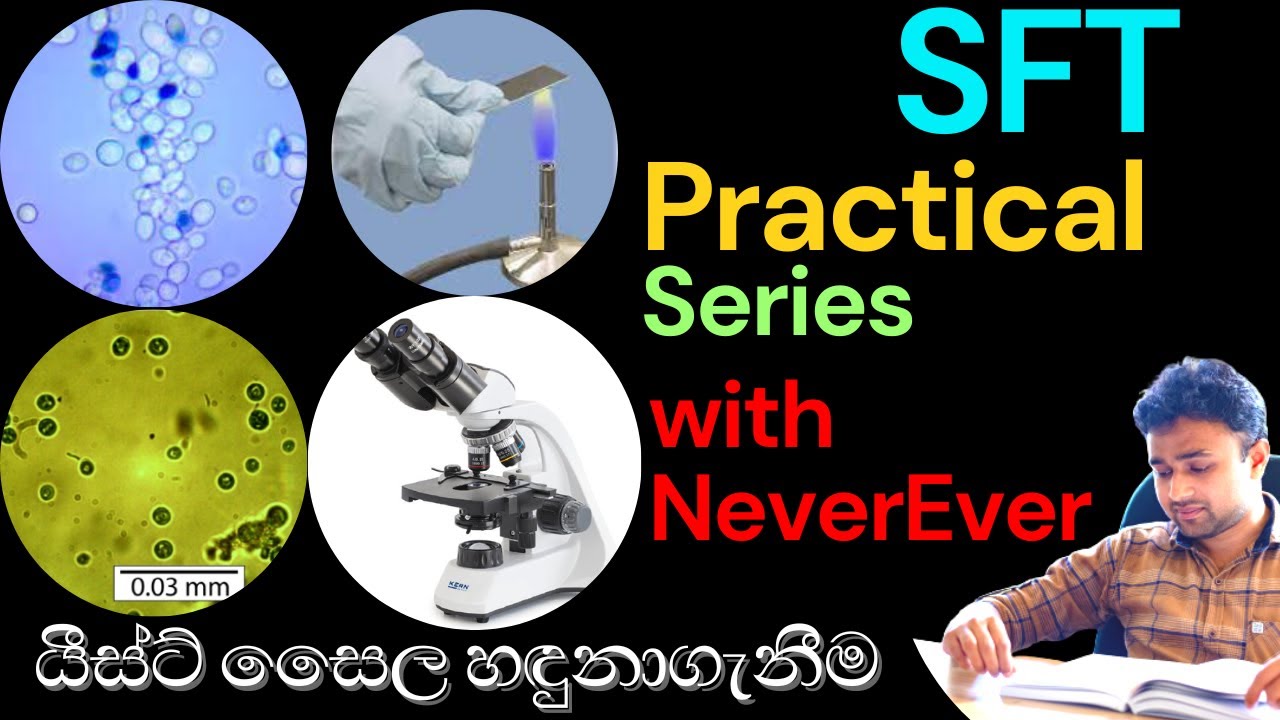 යීස්ට් සෛල හඳුනාගැනීම - SFT Biology Section's Practical - YouTube