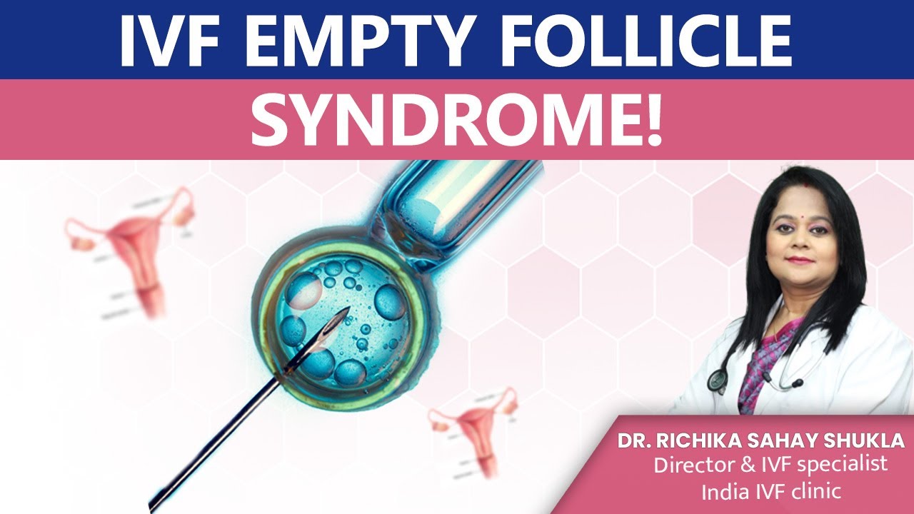 How to Treat Empty Follicle Syndrome | Dr. Richika Sahay Shukla | India ...