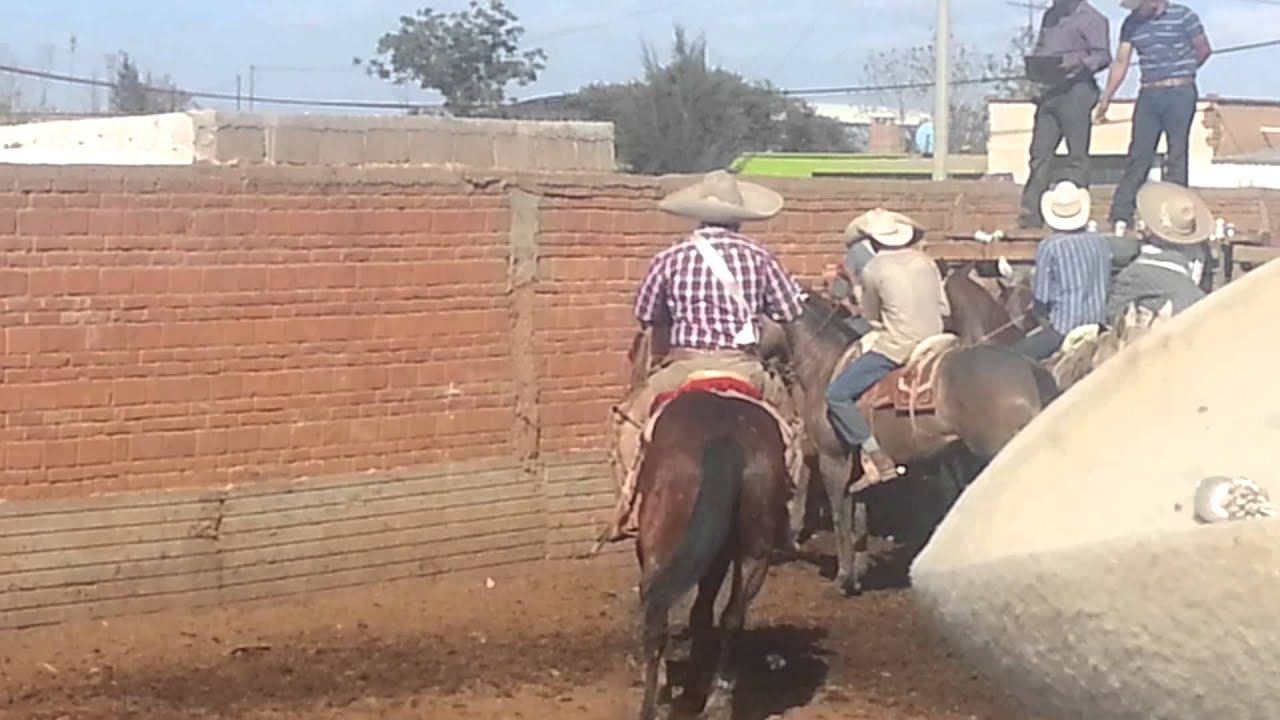 Coleadera En Ignacio Ramirez Durango - YouTube