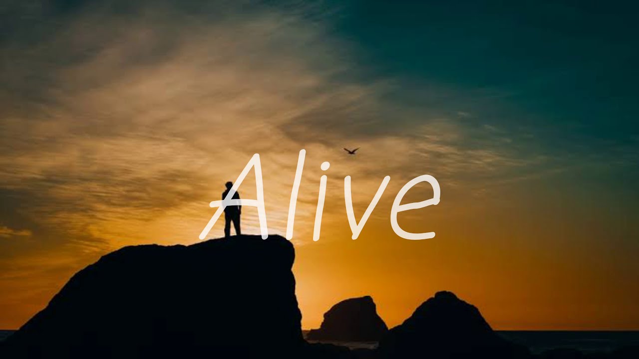 WildVibes & Lasso the Sun - Alive (Lyric) - YouTube