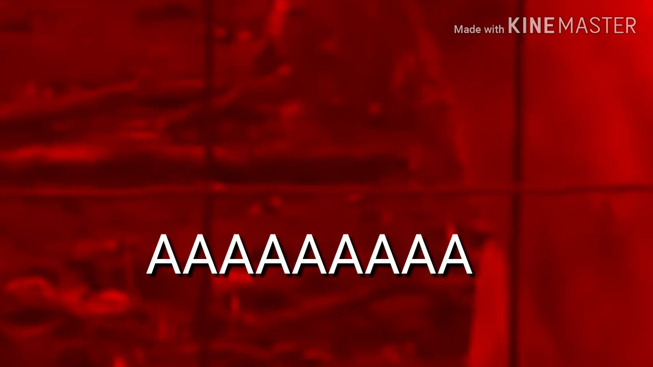 Oveja loca - YouTube