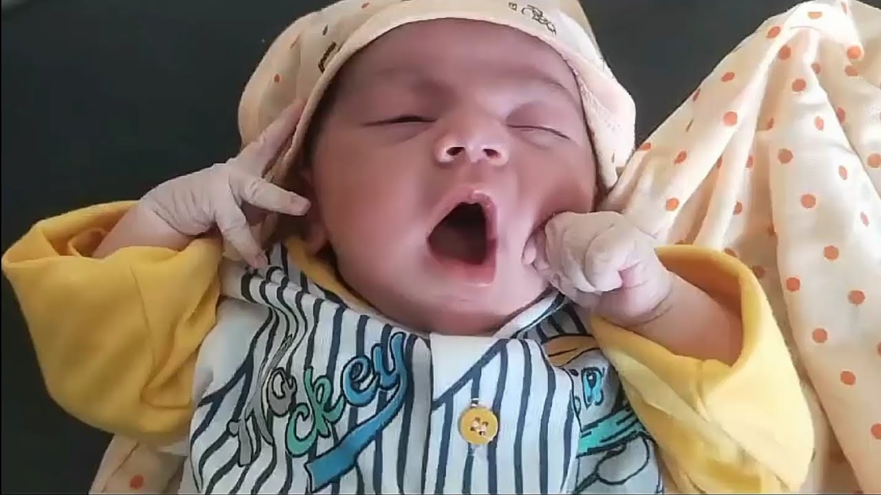 Hungry baby find breast milk | hungry baby find food - YouTube