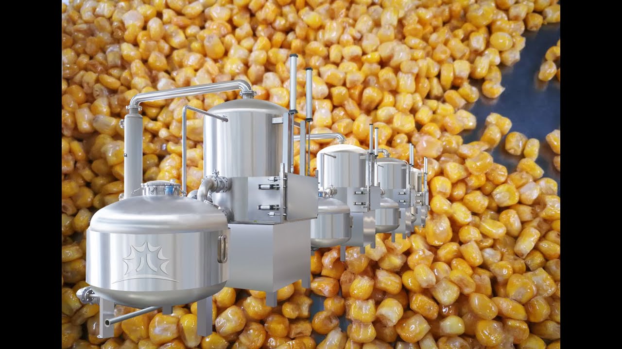 Vacuum fried fruits and vegetables fryer - YouTube