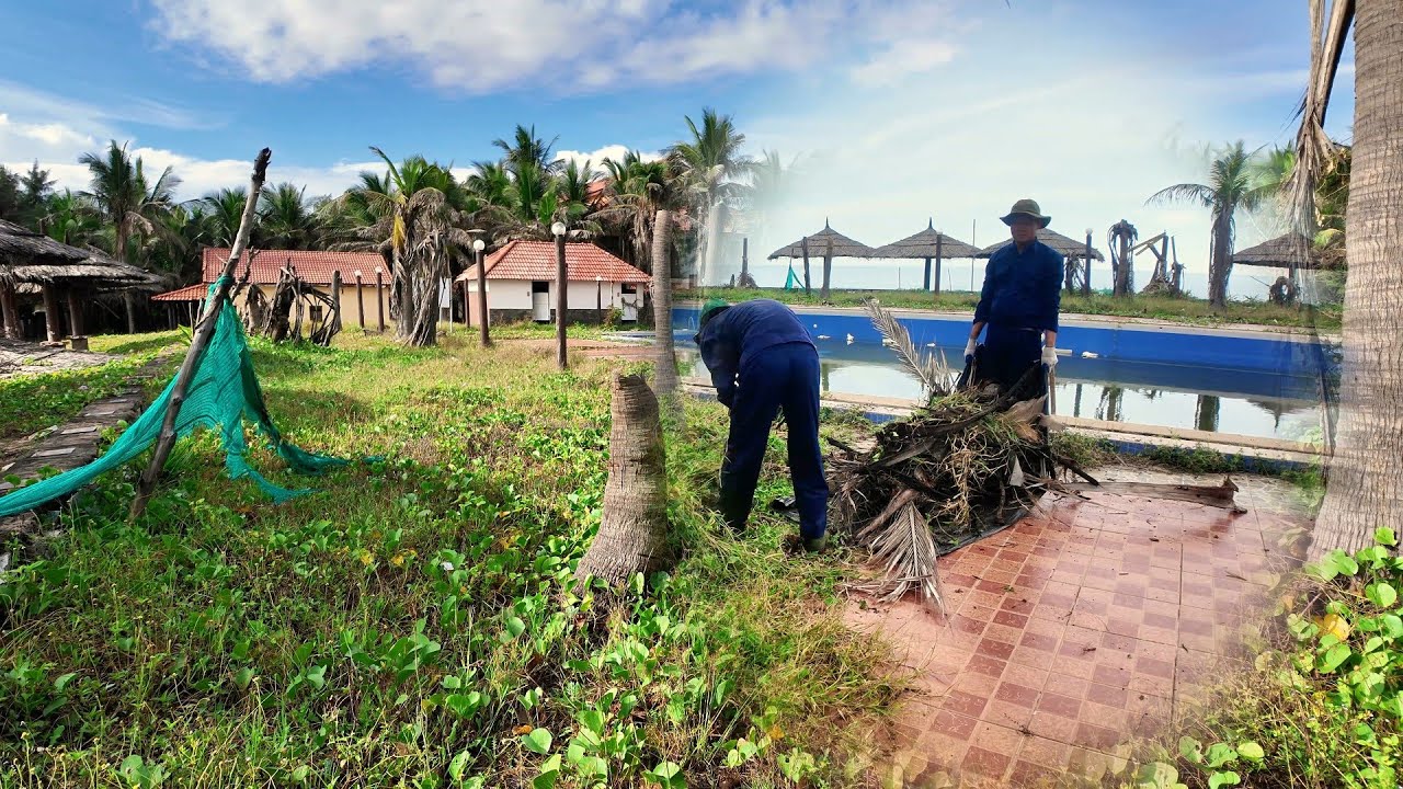 Three Workers and the Secret Behind the Coconut Trees – No One Expected ...