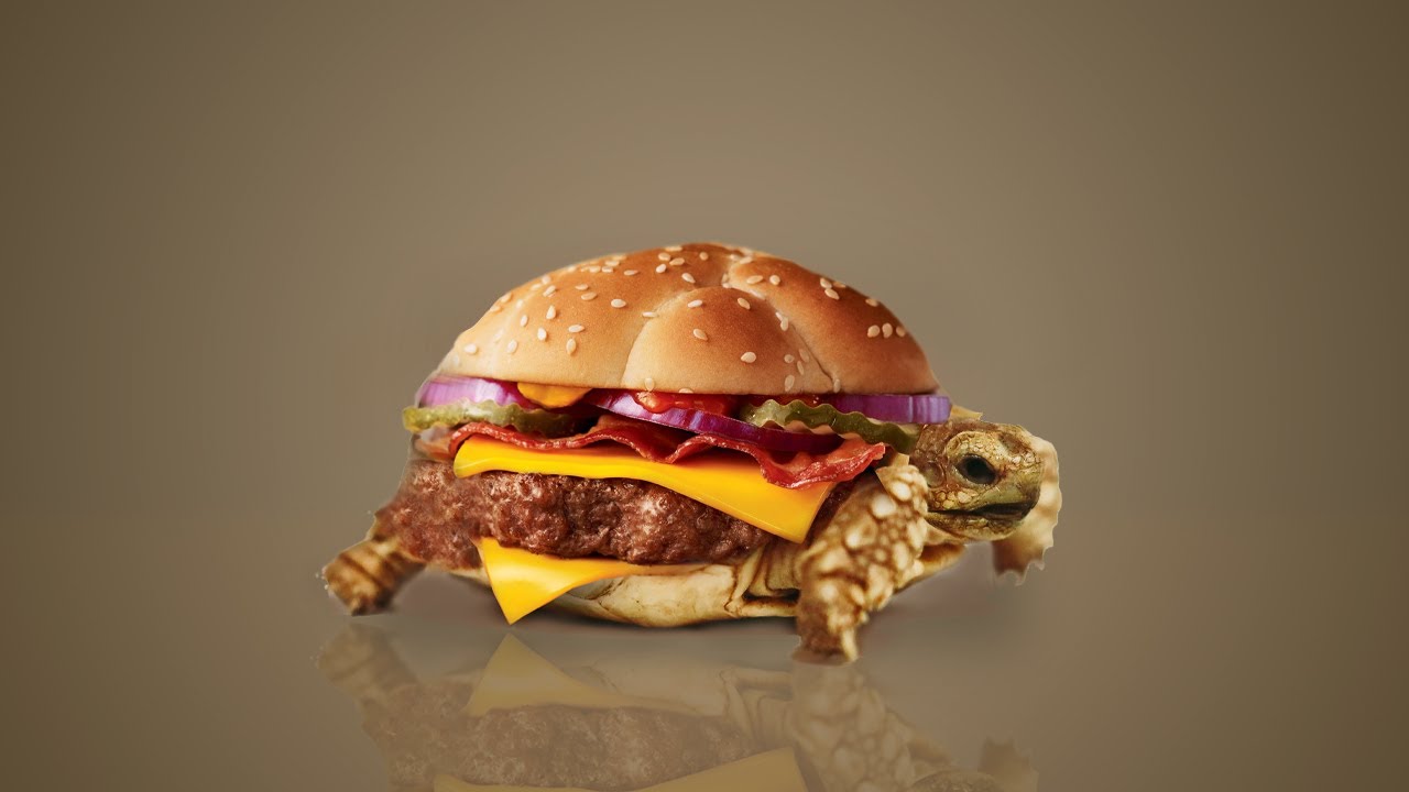 Animal (Turtle) and Food (Hamburger) | Photoshop Absurd Photo Editing ...