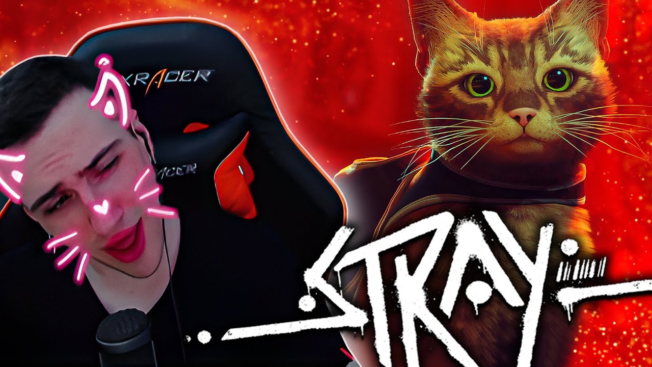 ДА ГДЕ ЖЕ ЭТОТ АВТОМАТ? HELLYEAHPLAY ИГРАЕТ В STRAY #2 - YouTube