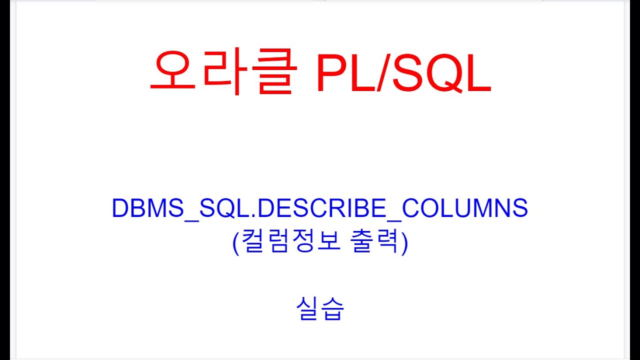 Dbmssql실습 컬럼정보출력describecolumnsdesctab Descrec오라클plsql 오라클교육