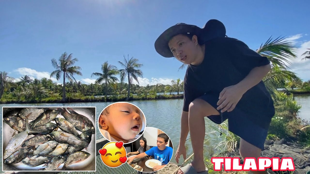 NAMINGWIT SI BAL NG TILAPIA SA PALAISDAAN + Nagluto ako ng Adobong ...