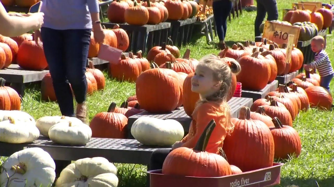 Exploring the best spots in Montgomery County - YouTube