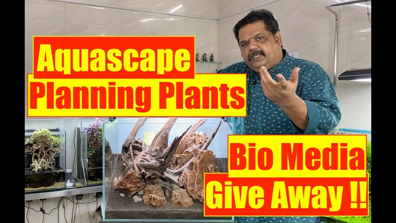 Choosing Plants For Aquascape | Plant Selection In Nature Aquarium | Mayur Dev Aquascaper HD ...