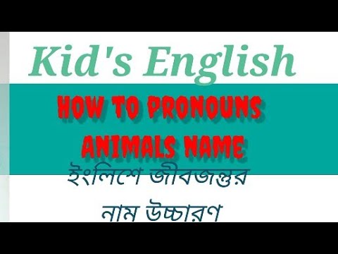 Learning with Amir Hamza. Animals name ( correct pronunciation ) - YouTube