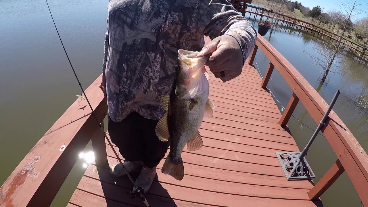 Pond Fishing- March 15, 2019 (Plus A Blooper!!!) - YouTube