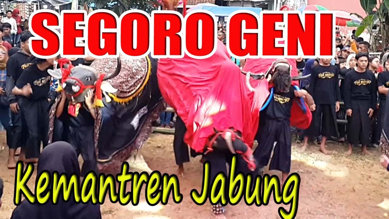 BANTENGAN SEGORO GENI FEAT BANTENGAN PUTRO SURO BADOK LIVE KEMANTREN ...