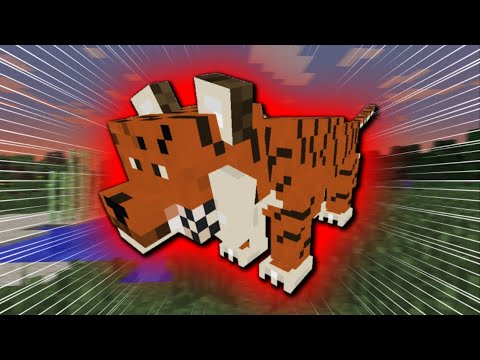 BIG CATS ADDON IN MINECRAFT 1.14! - YouTube