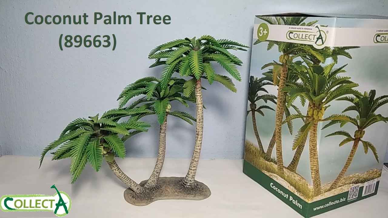 CollectA Coconut Palm Tree (89663) Review! - YouTube