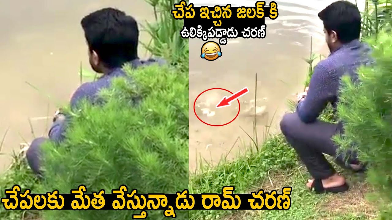 Ram Charan Feeding The Fish | Ram Charan Unseen Video | Upasana ...