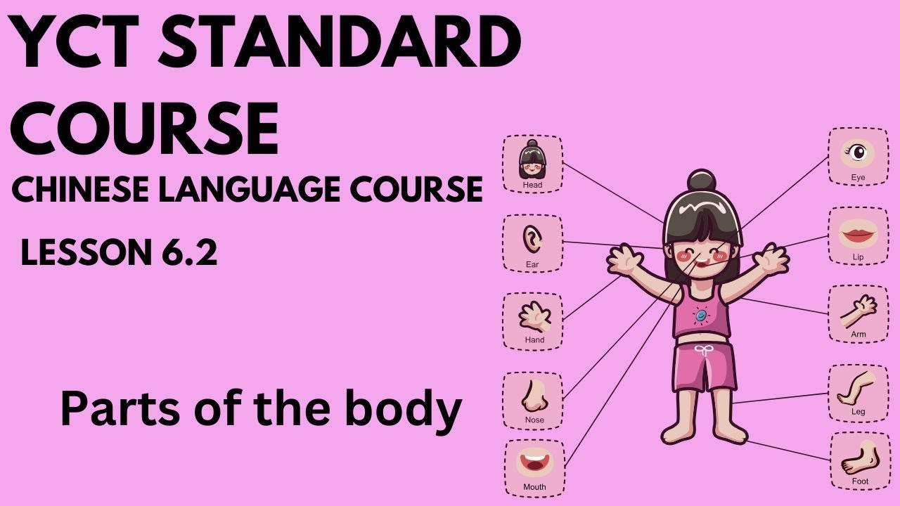 YCT Standard Course- Parts of the body Part 2- Learn parts of the body ...