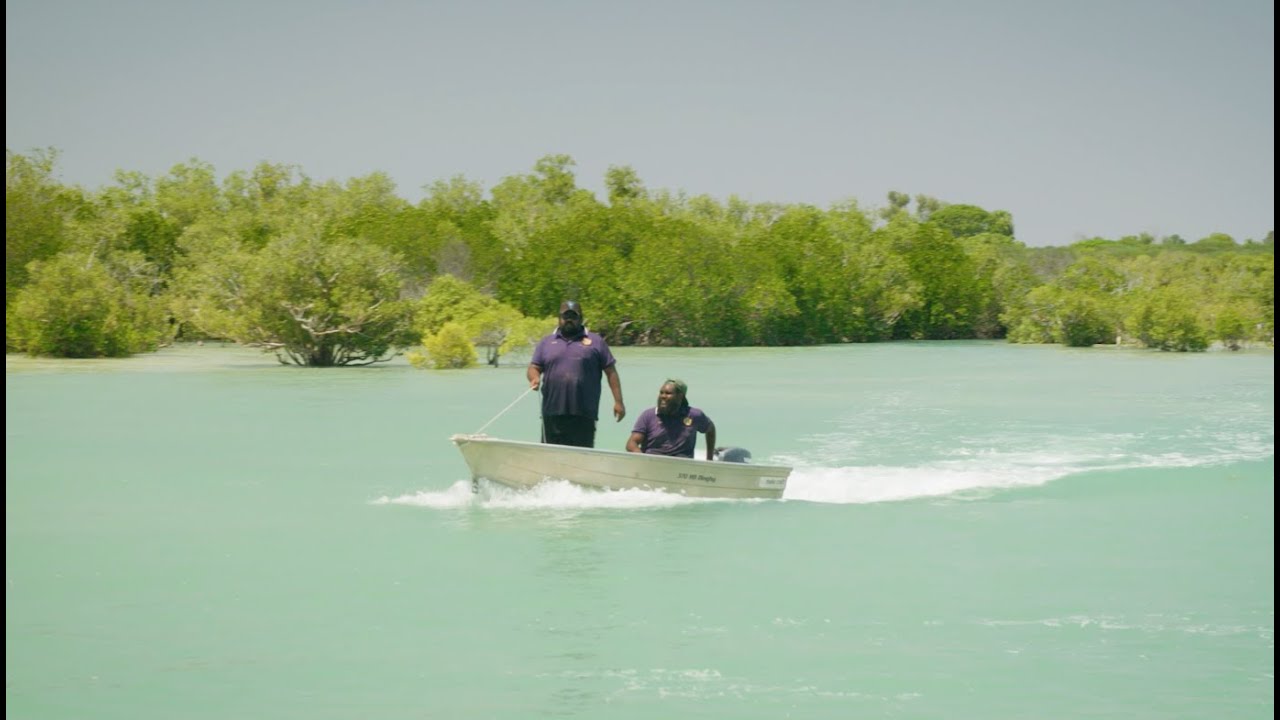 Crocodile Work with the Karajarri Rangers - YouTube