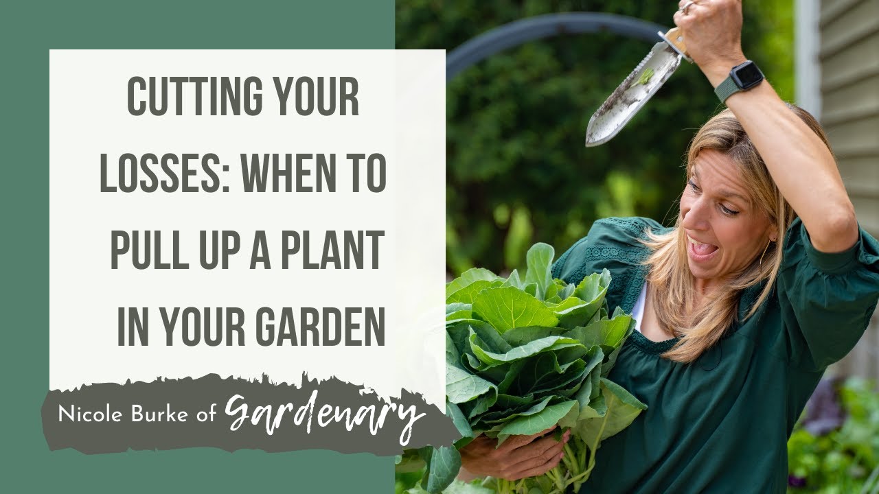 Cutting Your Losses: When to Pull Up a Plant in Your Garden - YouTube