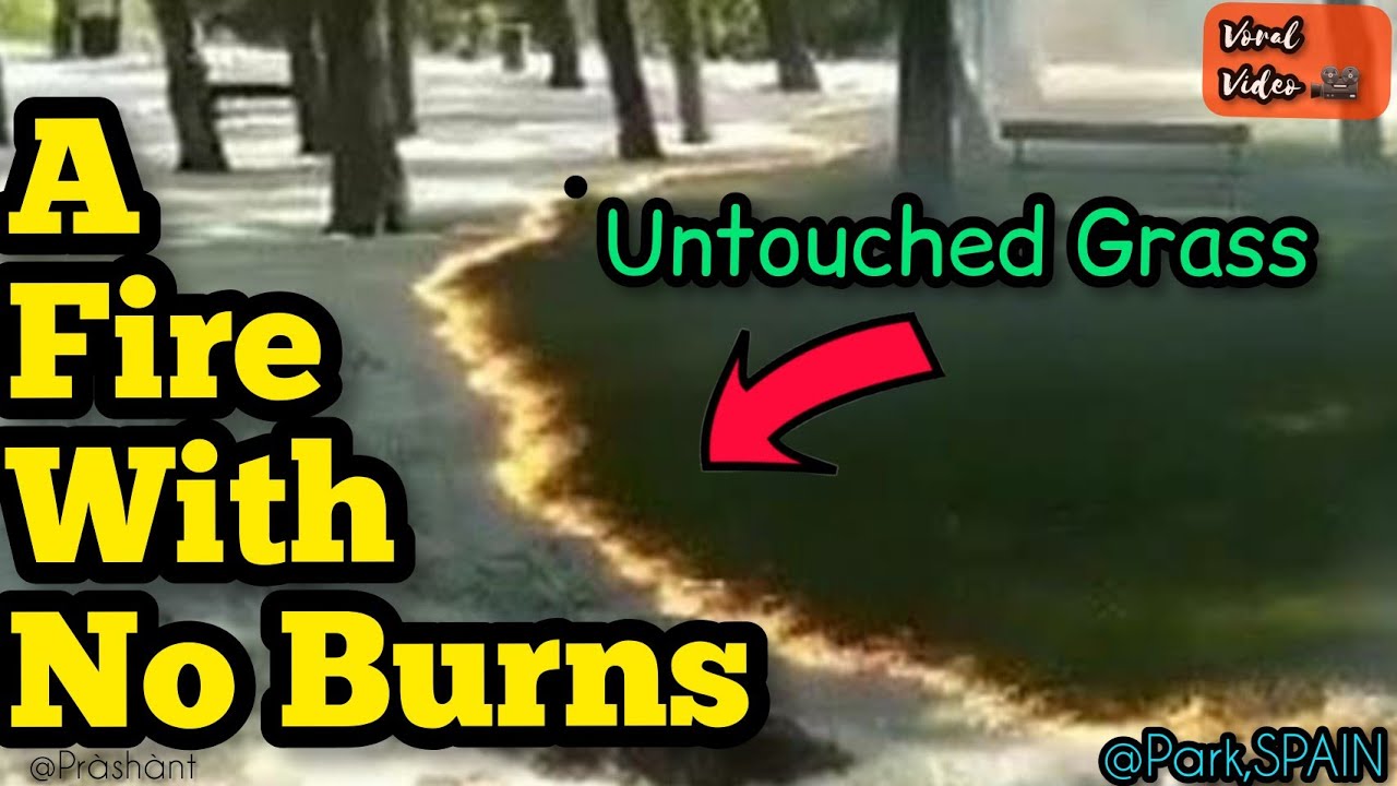 Fire🔥Without Burning Grass at Calahorra,Spain | Fire Sweeping through ...