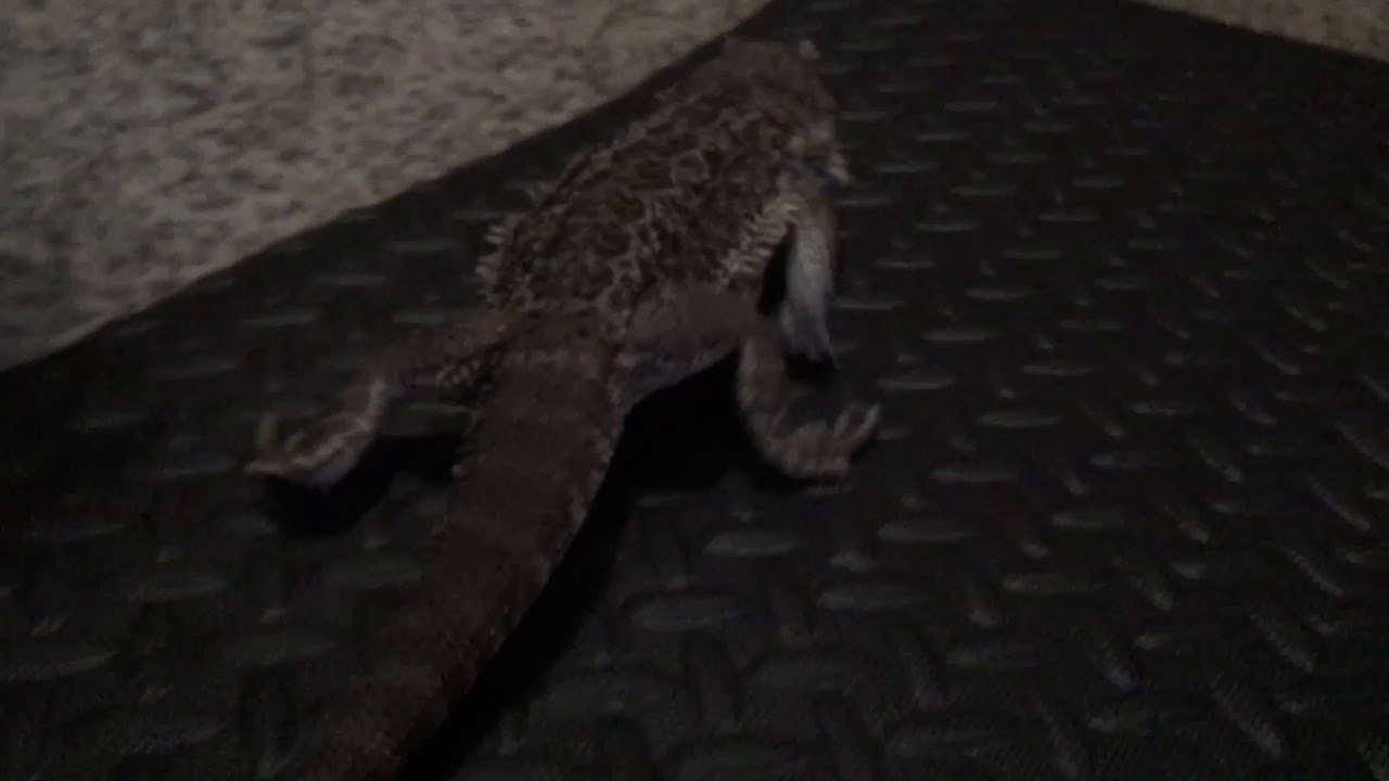 crawling guy - YouTube