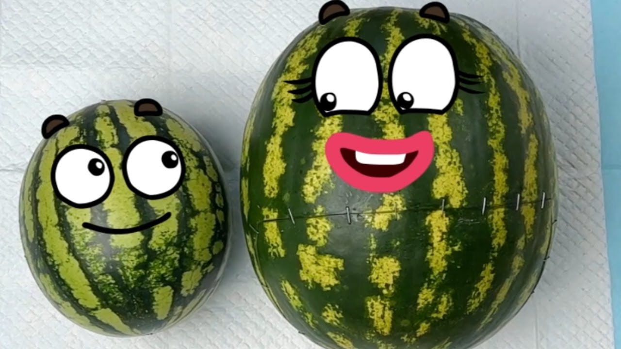 The Funniest Animated Food Adventures That'll Make You LOL! - YouTube