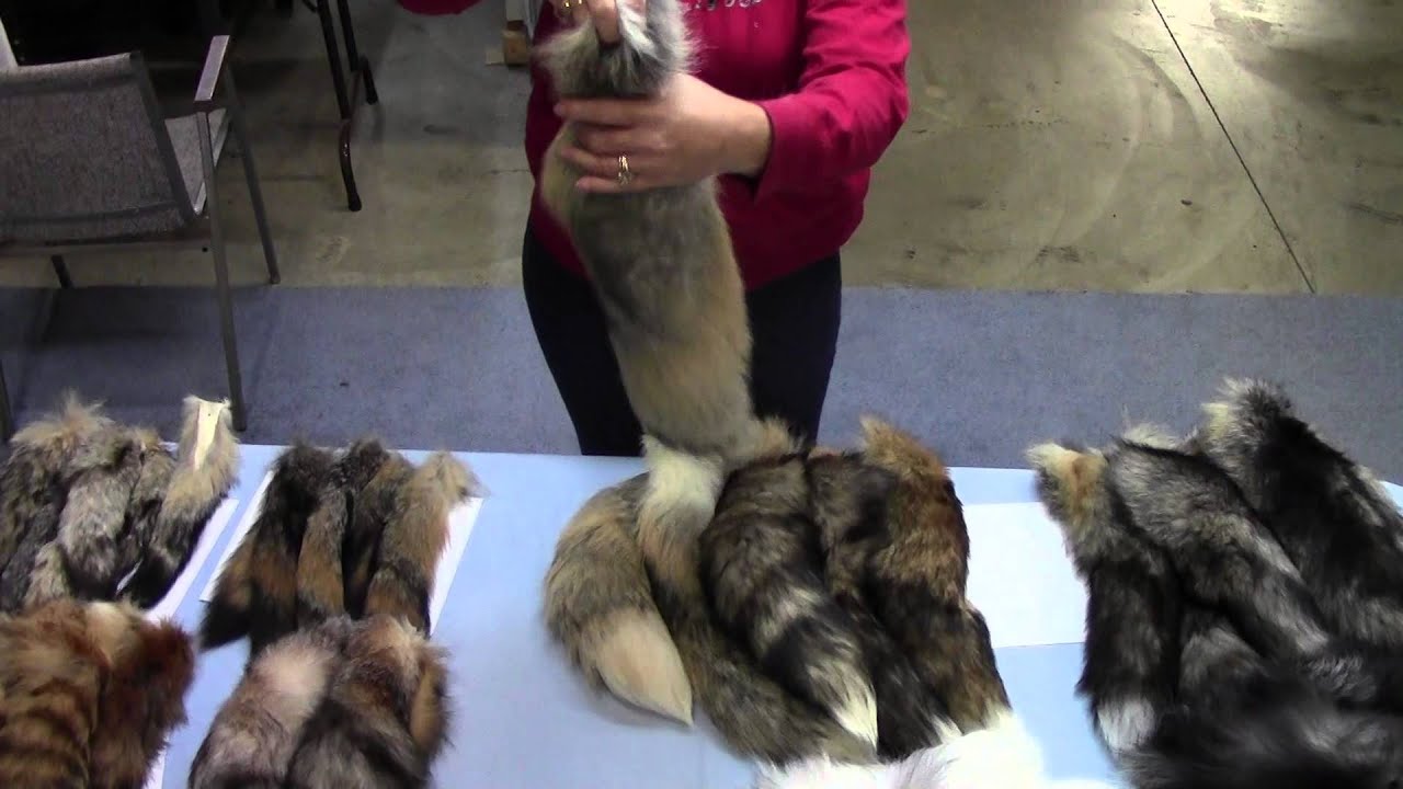 18-05-xx Natural Fox Tail - YouTube