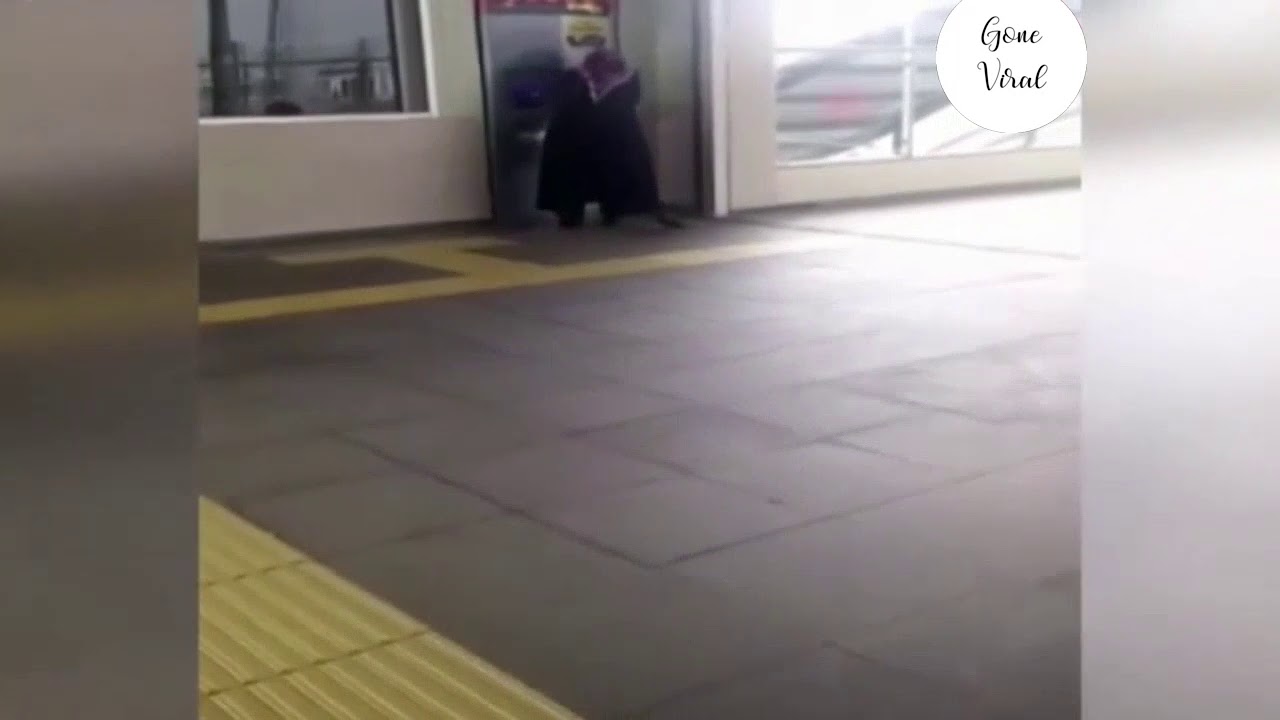Crow steals woman’s cash from vending machine - YouTube