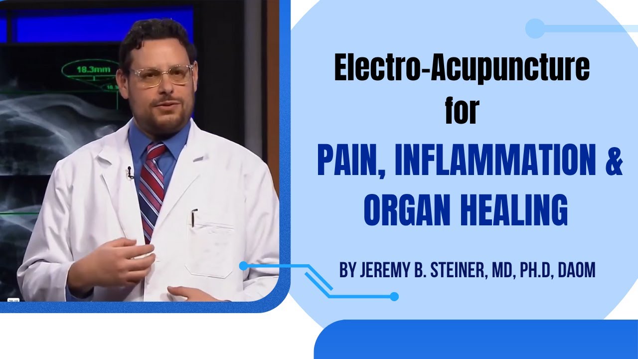Electro Acupuncture For - Pain, Inflammation & Organ Healing - YouTube