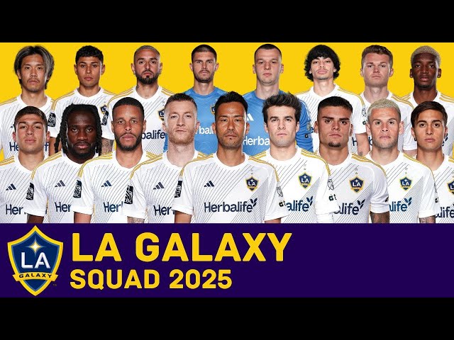 La Galaxy Soccer Team