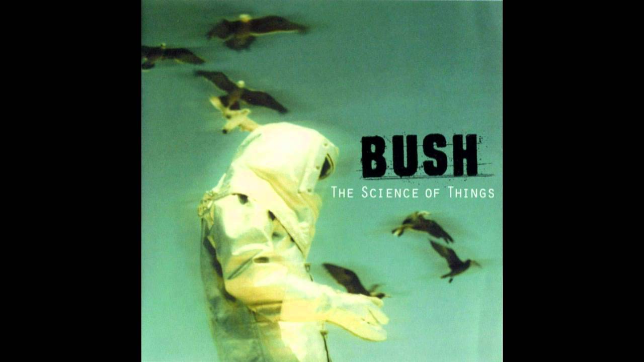 Bush - The Disease Of The Dancing Cats - YouTube