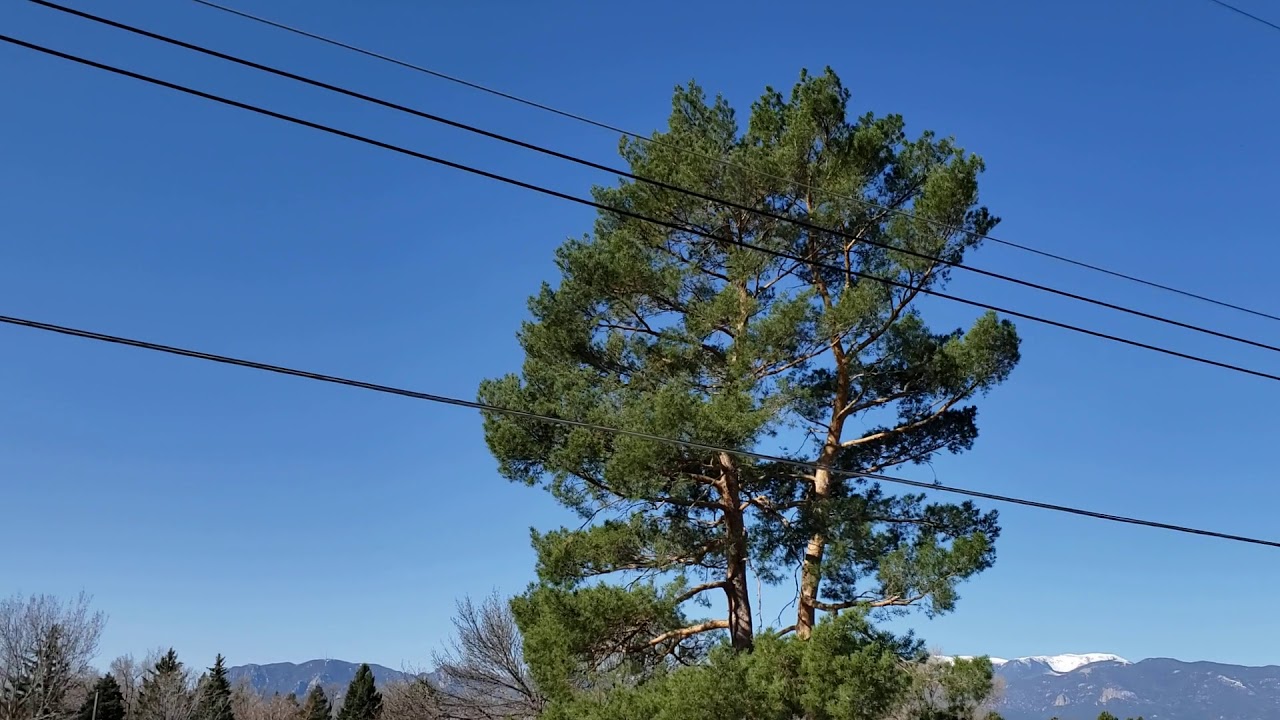 Colorado Springs Weather Report YouTube colorado-springs-weather-report-youtube