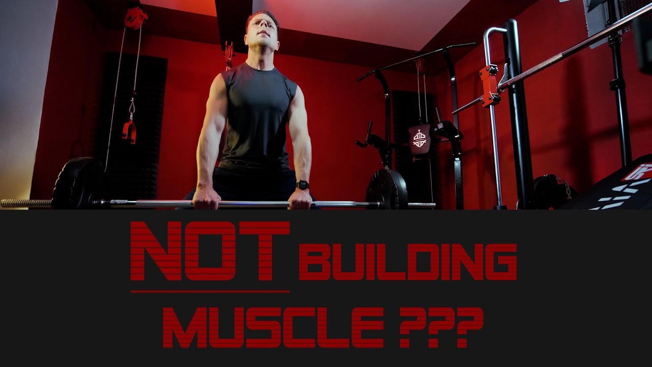 not building muscle - YouTube