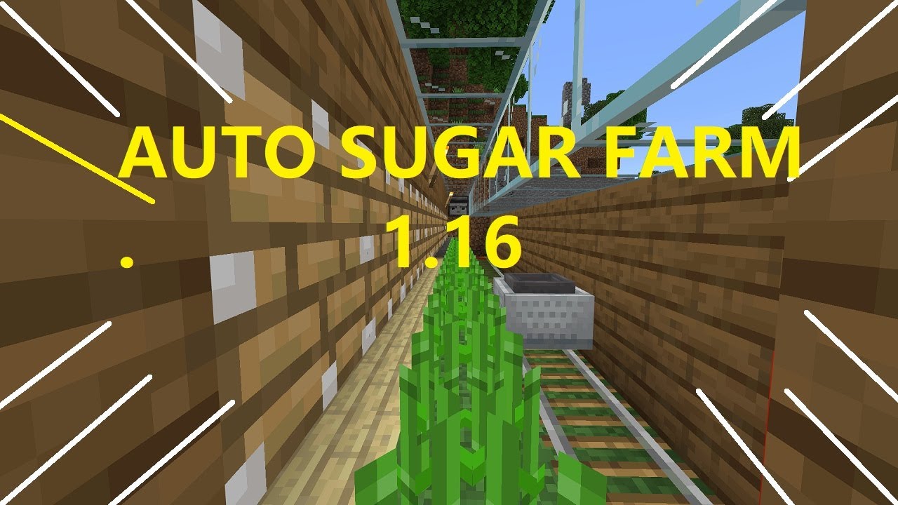 How To Make A Auto Sugar Cane Farm 1.16 BEDROCK/JAVA/CONSOLE EDITION EP ...