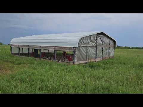 How to Move Pastured Poultry - YouTube