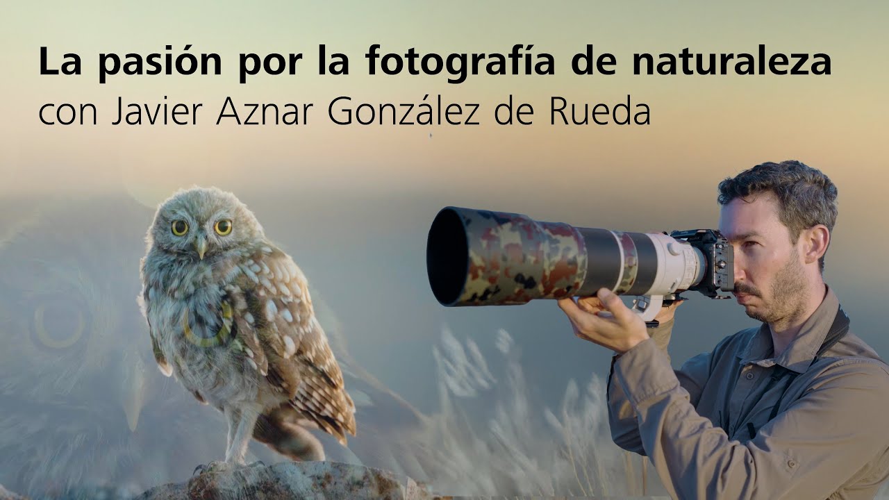 Capturar la magia de los búhos pequeños: El viaje de un fotógrafo - YouTube
