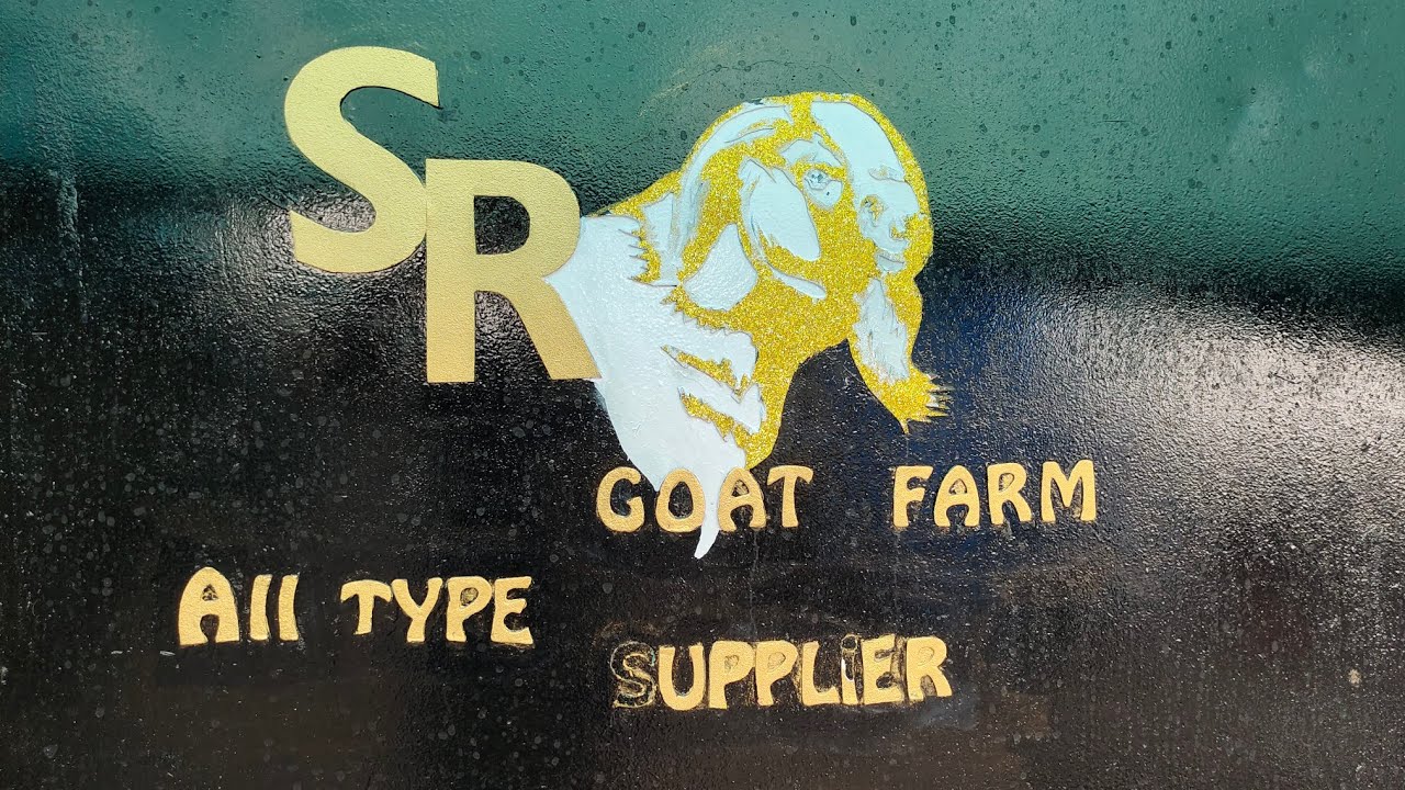 SR goat farm tolichowki hyd fully spotted barbari goats xing goat ...