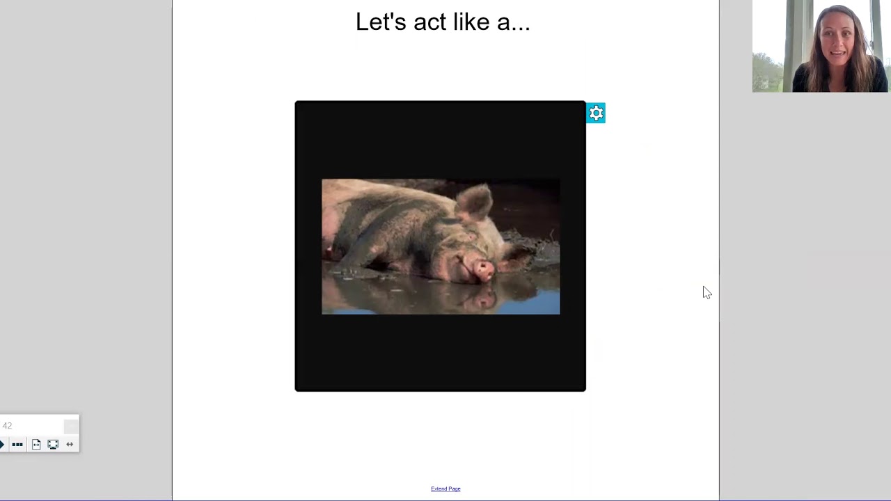 1. Answering wh-questions and animal vocabulary- Acting Like Animals ...