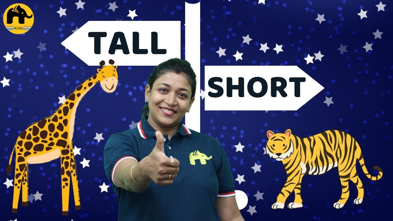 Tall and Short |Concepts for pre-school nursery babies toddler kids ...