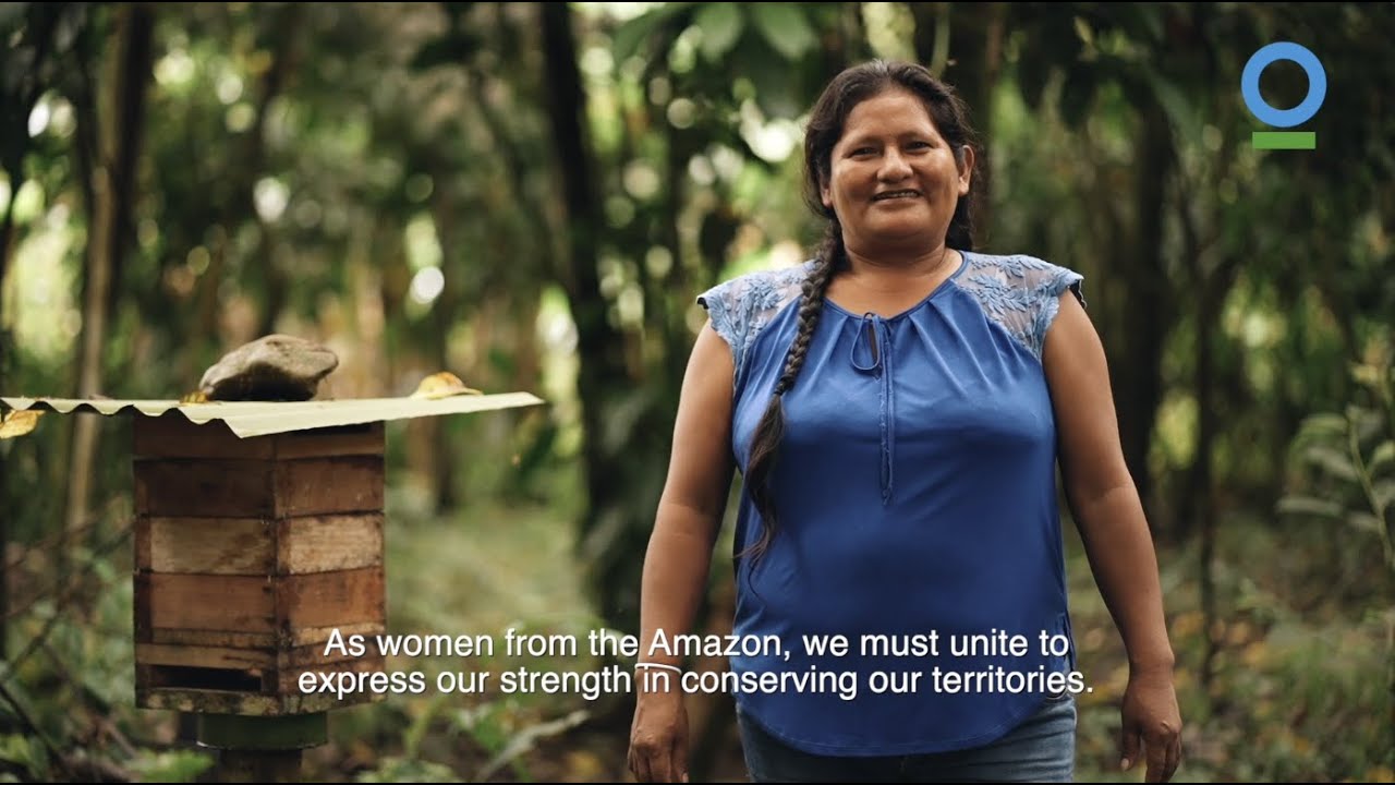 Knowledge Exchange: Reproducing Bees and Knowledge - YouTube